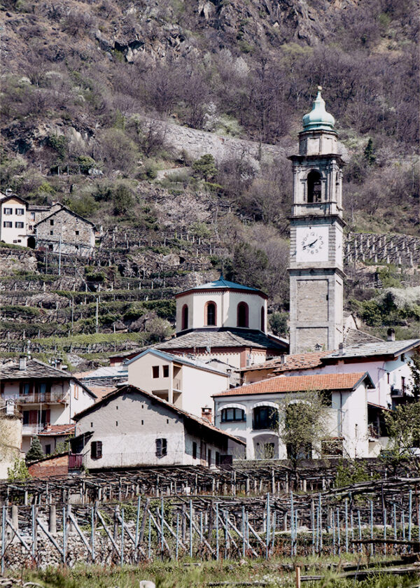 Monte Maletto - Mucci Imports